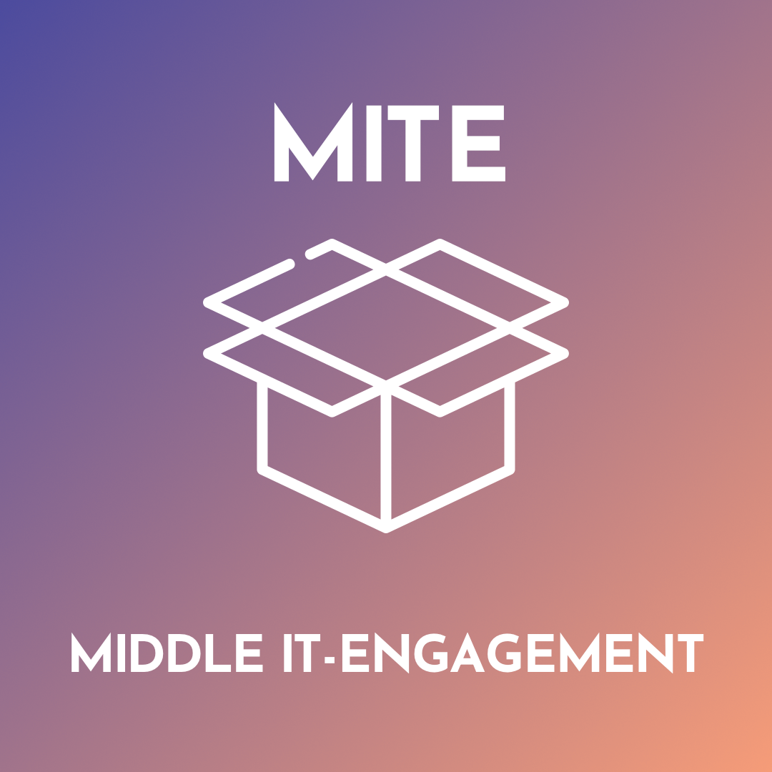 MITE MIDDLE IT ENGAGEMENT Dpi Solutions mite-middle-it-engagement-dpi-solutions